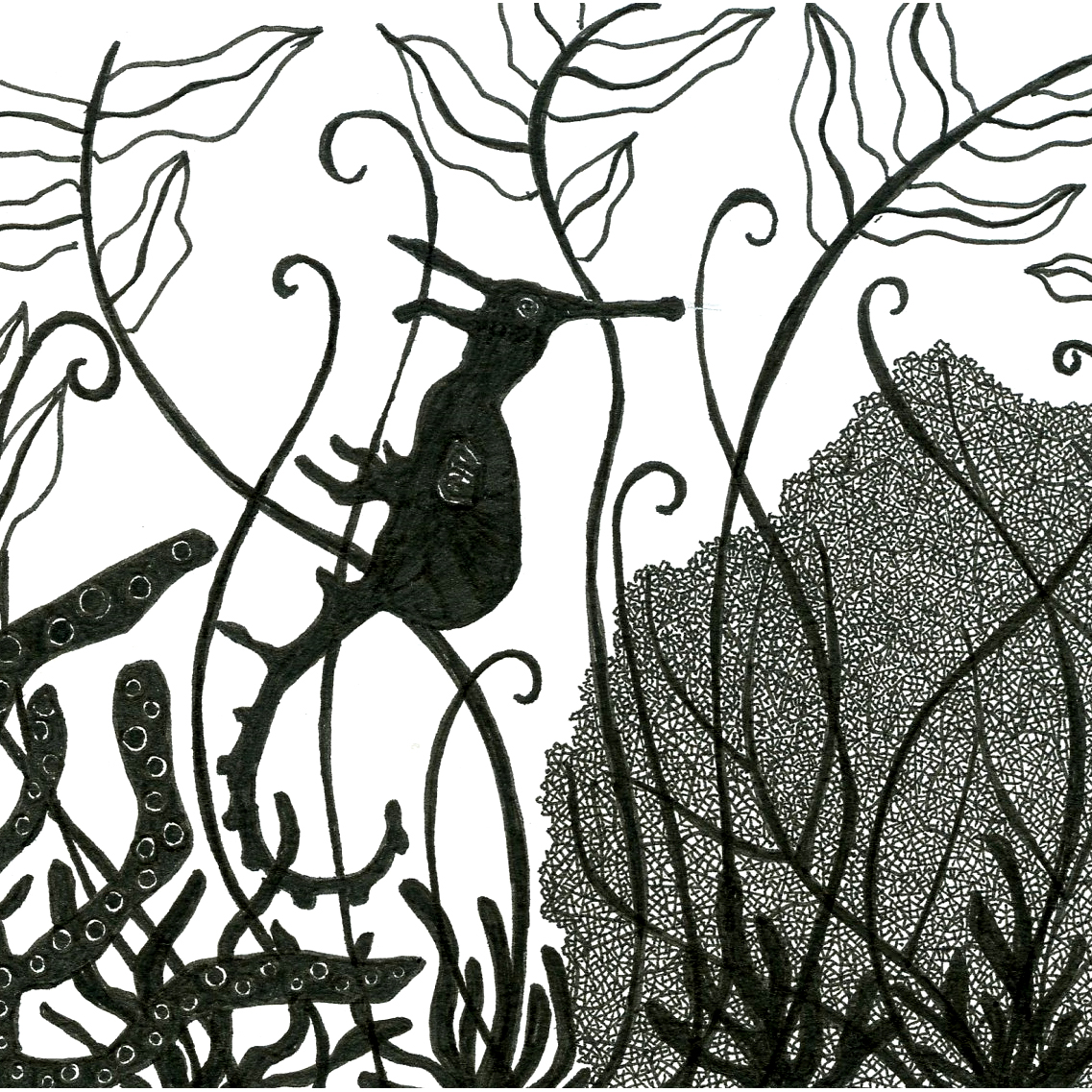 Sea Dragon – Daria Wallace